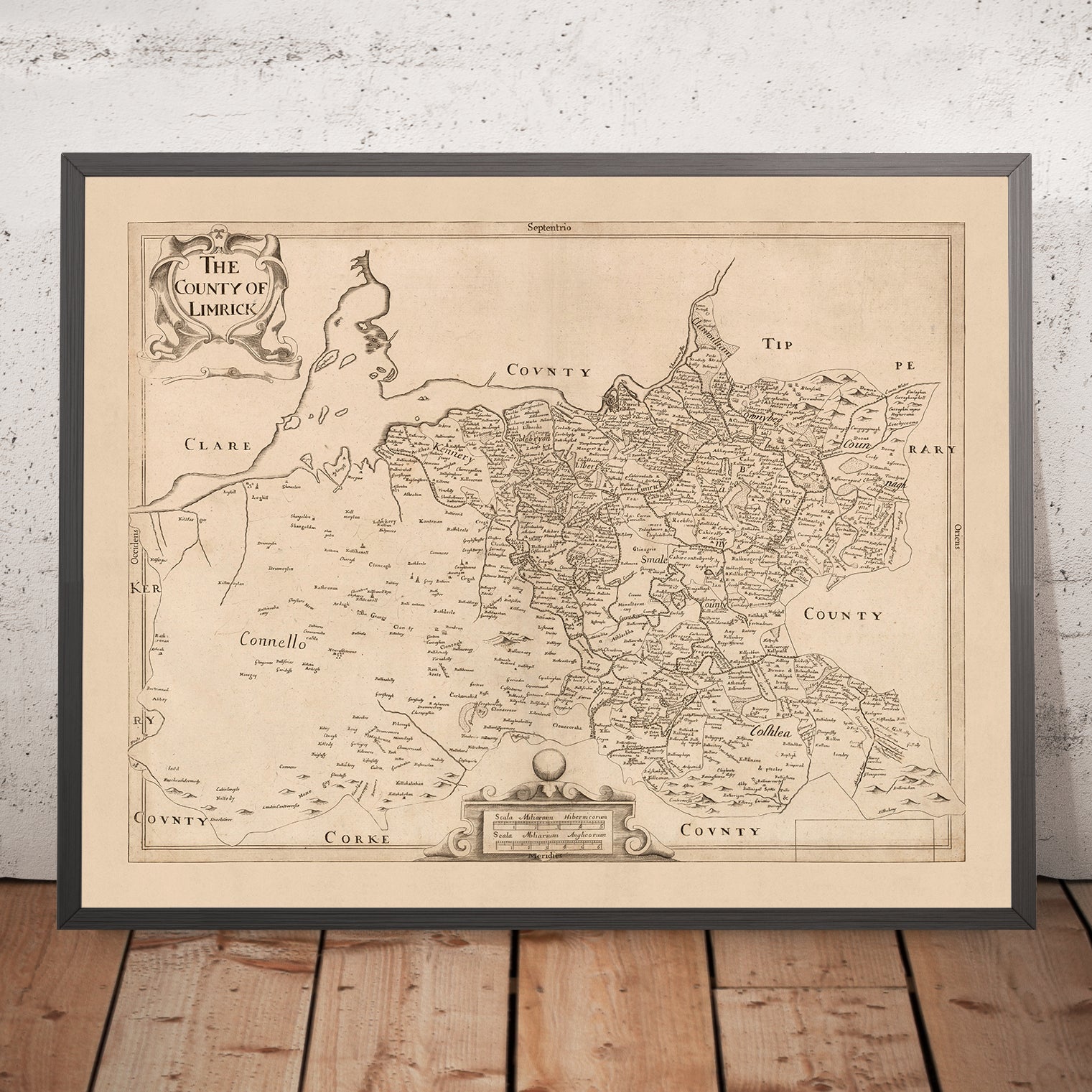 Old Map of County Limerick by Petty, 1685: Limerick, Newcastle West, R ...
