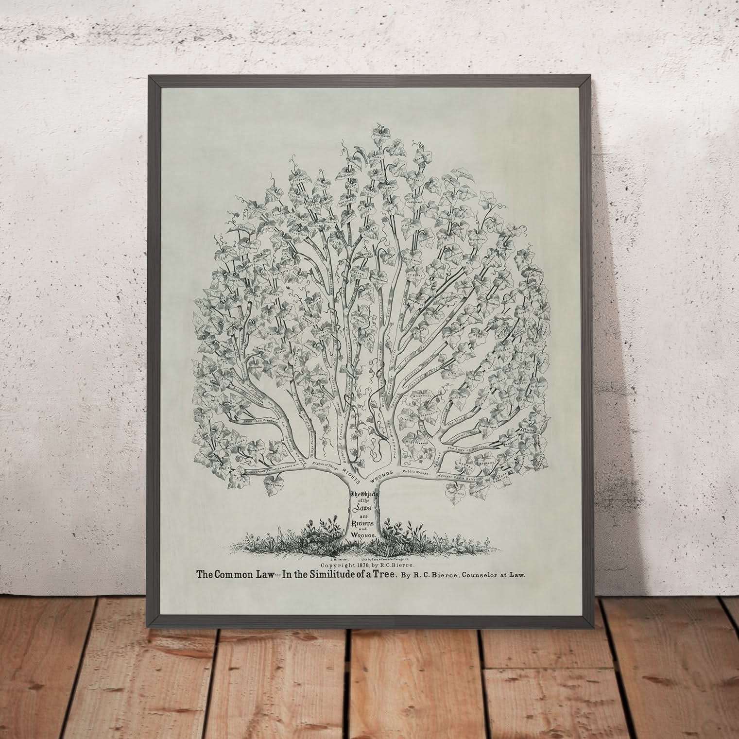 Law Office Poster, 1878: Common Law as a Tree by RC Bierce – The Unique ...