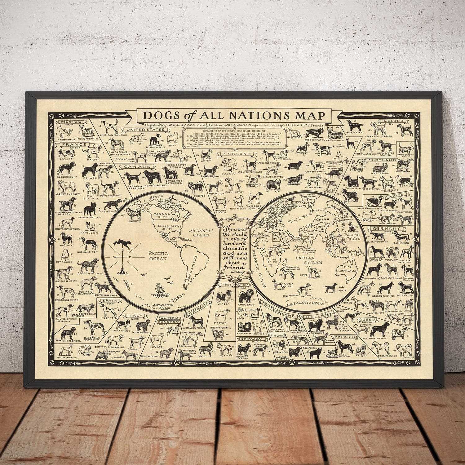 Old Dog Map, 1936 - World Atlas Chart of Breeds - Terrier, Bulldog, Pu ...
